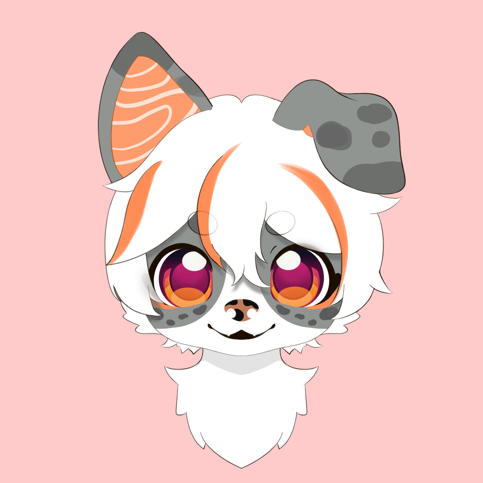 Kig- Kemono Mix Style Blue Merle Border Collie - Marlo – Meemonster